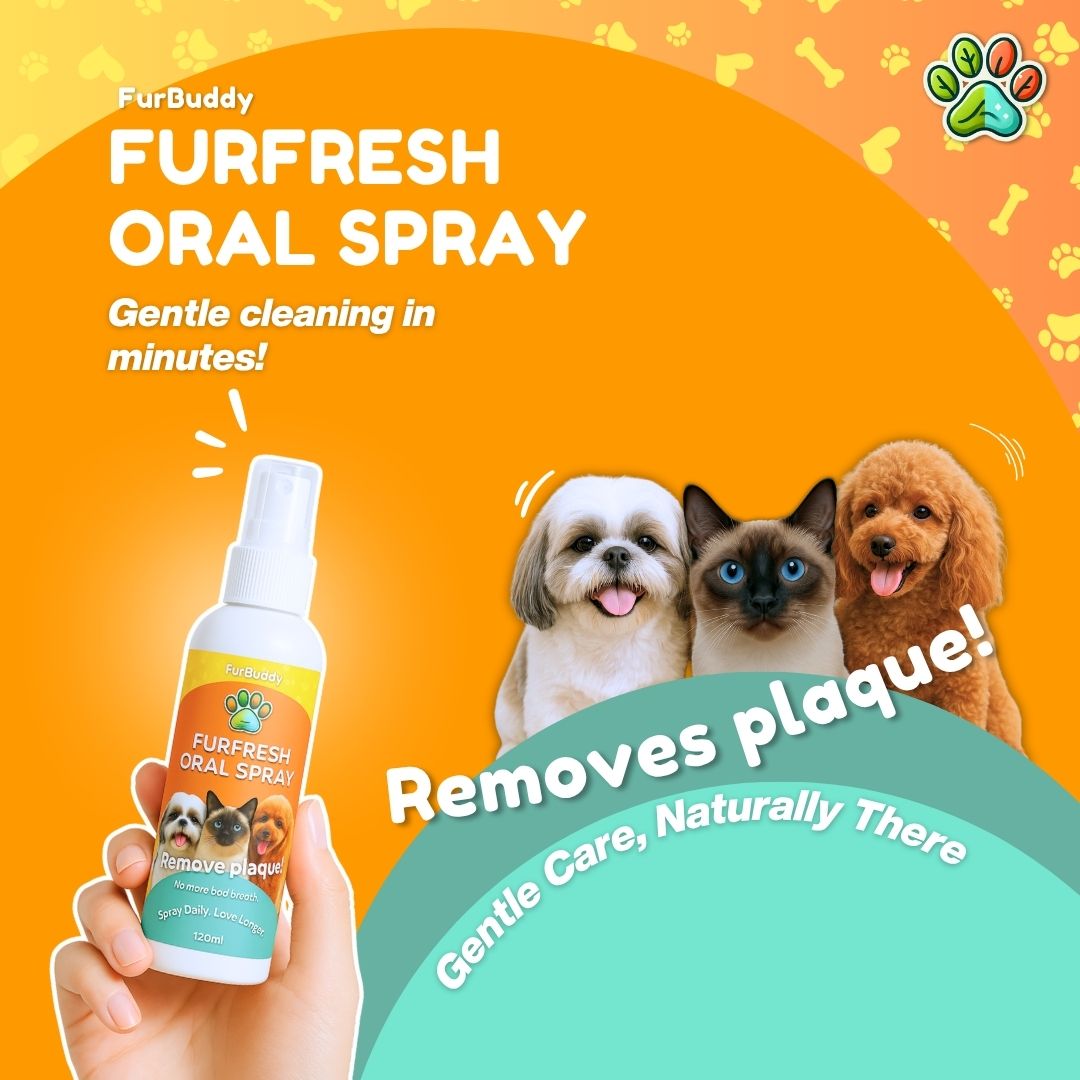 Furfresh Oral Spray – Furbuddy